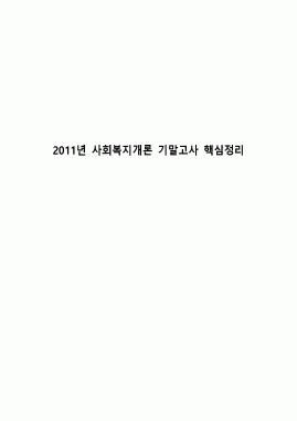 2011년 사회복지개론 기말고사 핵심정리-1페이지