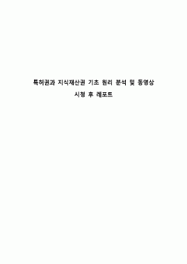 특허권과 지식재산권 기초 원리 분석 및 동영상 시청 후 레포트-1페이지