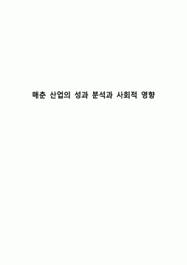 매춘 산업의 성과 분석과 사회적 영향-1페이지