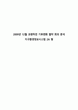 2009년 12월 코펜하겐 기후변화 협약 회의 분석 지구환경정보시스템 2A 형-1페이지