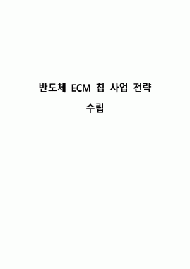 반도체 ECM 칩 사업 전략 수립-1페이지