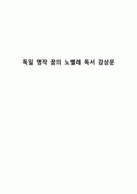독일 명작 꿈의 노벨레 독서 감상문-1페이지