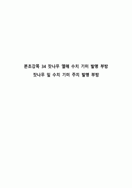 본초강목 34 잣나무 열매 수치 기미 발명 부방 잣나무 잎 수치 기미 주치 발명 부방-1페이지