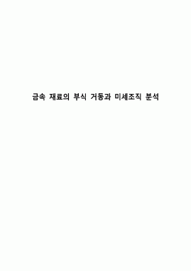 금속 재료의 부식 거동과 미세조직 분석-1페이지