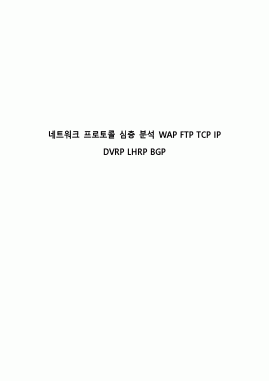 네트워크 프로토콜 심층 분석 WAP FTP TCP IP DVRP LHRP BGP-1페이지