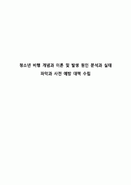 청소년 비행 개념과 이론 및 발생 원인 분석과 실태 파악과 사전 예방 대책 수립-1페이지