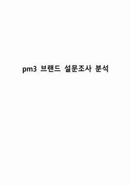 pm3 브랜드 설문조사 분석-1페이지