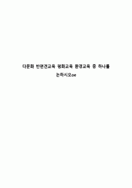 다문화 반편견교육 평화교육 환경교육 중 하나를 논하시오oe-1페이지