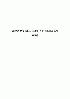 2007년 11월 NGcN 차세대 융합 네트워크 조사 보고서-1페이지