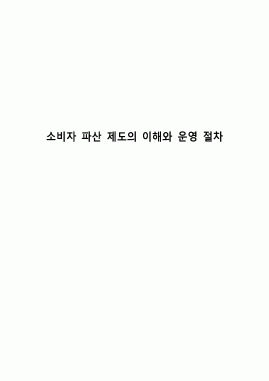 소비자 파산 제도의 이해와 운영 절차-1페이지