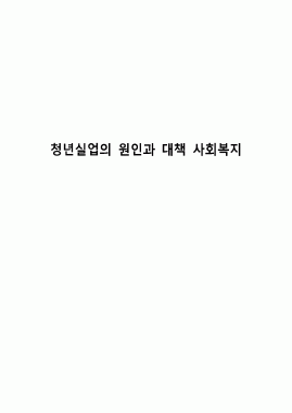 청년실업의 원인과 대책 사회복지-1페이지