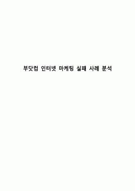 부닷컴 인터넷 마케팅 실패 사례 분석-1페이지