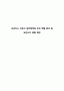 보건지소 간호사 업무영역과 조직 역할 분석 및 보건소지 방향 제안-1페이지