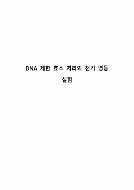 DNA 제한 효소 처리와 전기 영동 실험-1페이지
