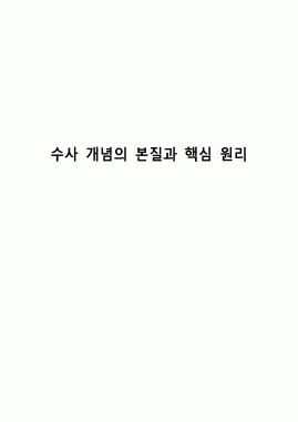 수사 개념의 본질과 핵심 원리-1페이지
