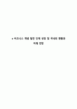 e 비즈니스 개념 발전 단계 성장 및 국내외 현황과 미래 전망-1페이지