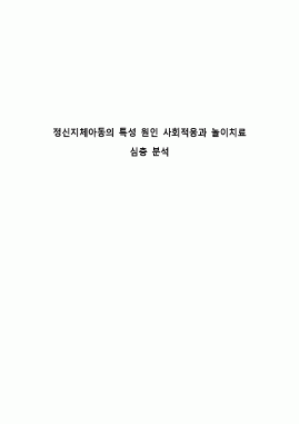 정신지체아동의 특성 원인 사회적응과 놀이치료 심층 분석-1페이지