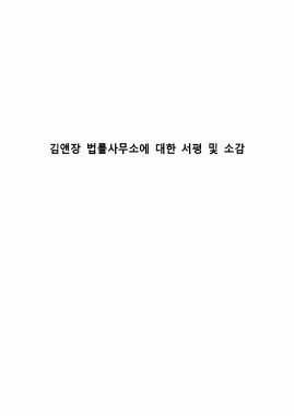 김앤장 법률사무소에 대한 서평 및 소감-1페이지