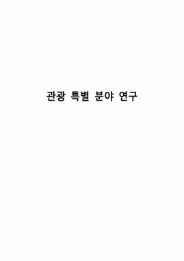 관광 특별 분야 연구-1페이지
