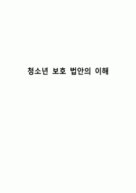 청소년 보호 법안의 이해-1페이지