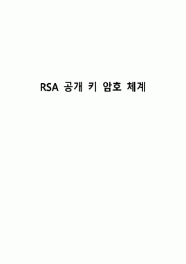 RSA 공개 키 암호 체계-1페이지