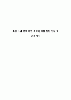 촉법 소년 연령 하한 조정에 대한 찬반 입장 및 근거 제시-1페이지