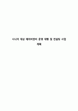 시니어 대상 에어비앤비 운영 대행 및 컨설팅 사업 계획-1페이지