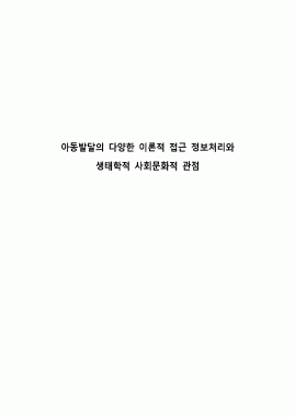 아동발달의 다양한 이론적 접근 정보처리와 생태학적 사회문화적 관점-1페이지