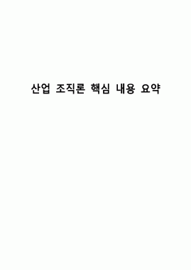 산업 조직론 핵심 내용 요약-1페이지