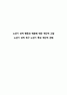노년기 성적 행동과 재혼에 대한 개인적 고찰 노년기 성적 욕구 노년기 특성 개인적 견해-1페이지