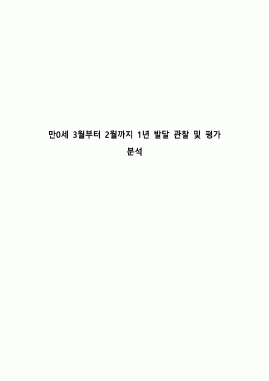 만0세 3월부터 2월까지 1년 발달 관찰 및 평가 분석-1페이지