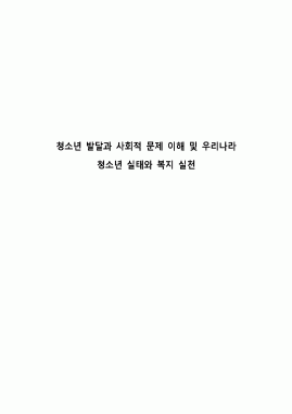 청소년 발달과 사회적 문제 이해 및 우리나라 청소년 실태와 복지 실천-1페이지