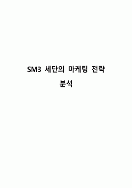 SM3 세단의 마케팅 전략 분석-1페이지