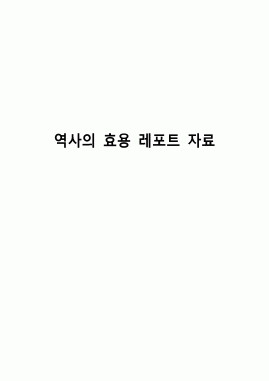 역사의 효용 레포트 자료-1페이지