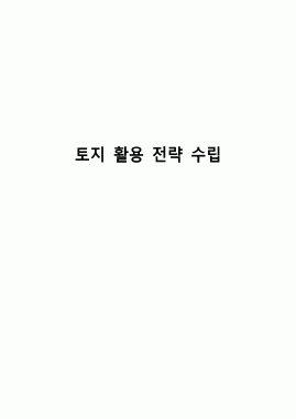 토지 활용 전략 수립-1페이지