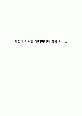 지상파 디지털 멀티미디어 방송 서비스-1페이지