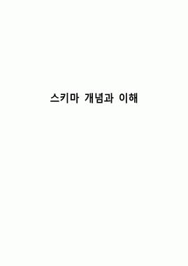 스키마 개념과 이해-1페이지