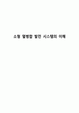소형 열병합 발전 시스템의 이해-1페이지