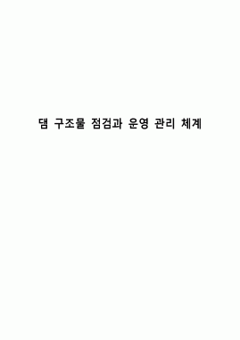 댐 구조물 점검과 운영 관리 체계-1페이지