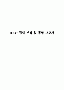 IT839 정책 분석 및 종합 보고서-1페이지