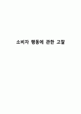 소비자 행동에 관한 고찰-1페이지
