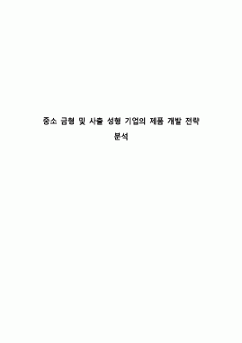 중소 금형 및 사출 성형 기업의 제품 개발 전략 분석-1페이지