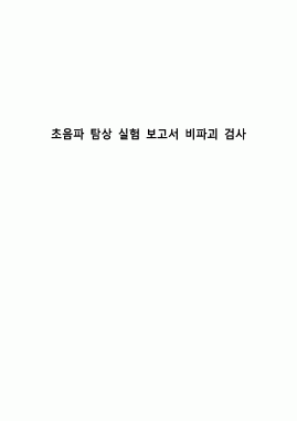 초음파 탐상 실험 보고서 비파괴 검사-1페이지