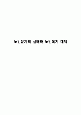 노인문제의 실태와 노인복지 대책-1페이지
