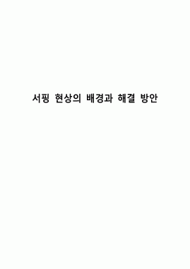 서핑 현상의 배경과 해결 방안-1페이지