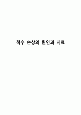 척수 손상의 원인과 치료-1페이지