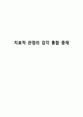 치료적 관점의 감각 통합 중재-1페이지