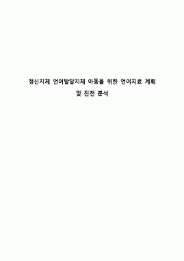 정신지체 언어발달지체 아동을 위한 언어치료 계획 및 진전 분석-1페이지