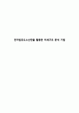 전자빔유도소산란을 활용한 미세구조 분석 기법-1페이지