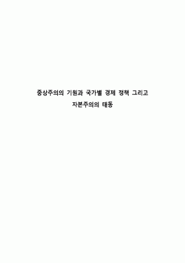 중상주의의 기원과 국가별 경제 정책 그리고 자본주의의 태동-1페이지
